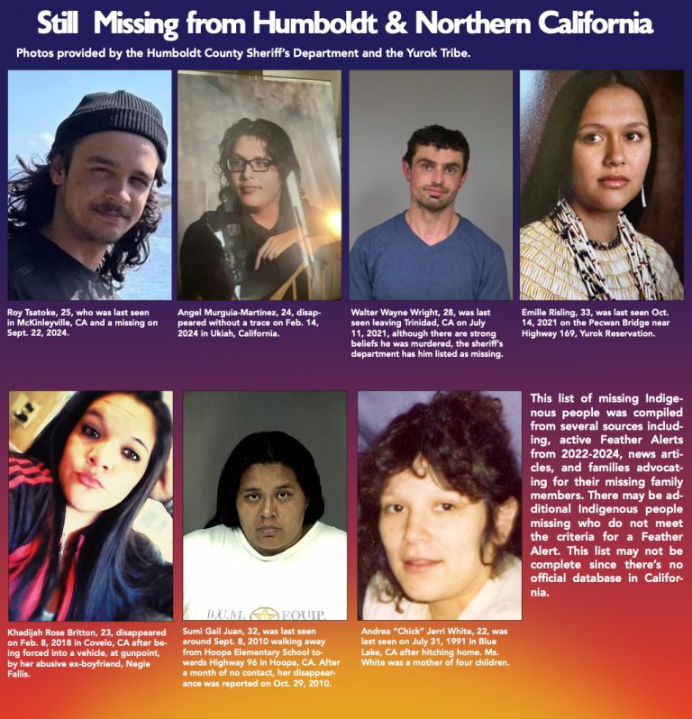 Feather Alert: What is it and how is it working? | El Leñador Bilingual ...